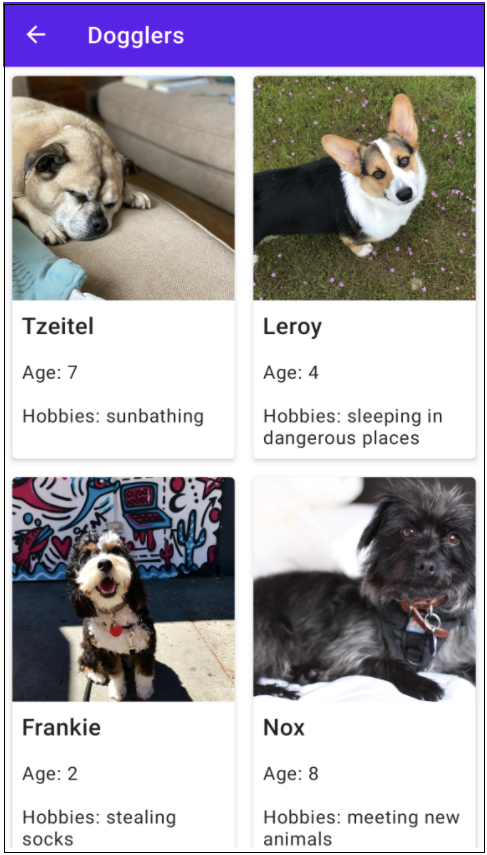 Proyecto: App de Dogglers | Android Developers